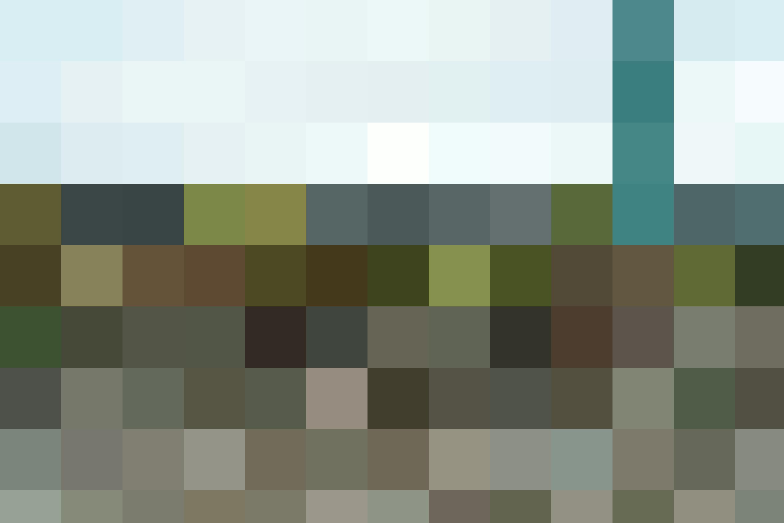 Matthiasson Wines | 2022 Cabernet Sauvignon Napa Valley