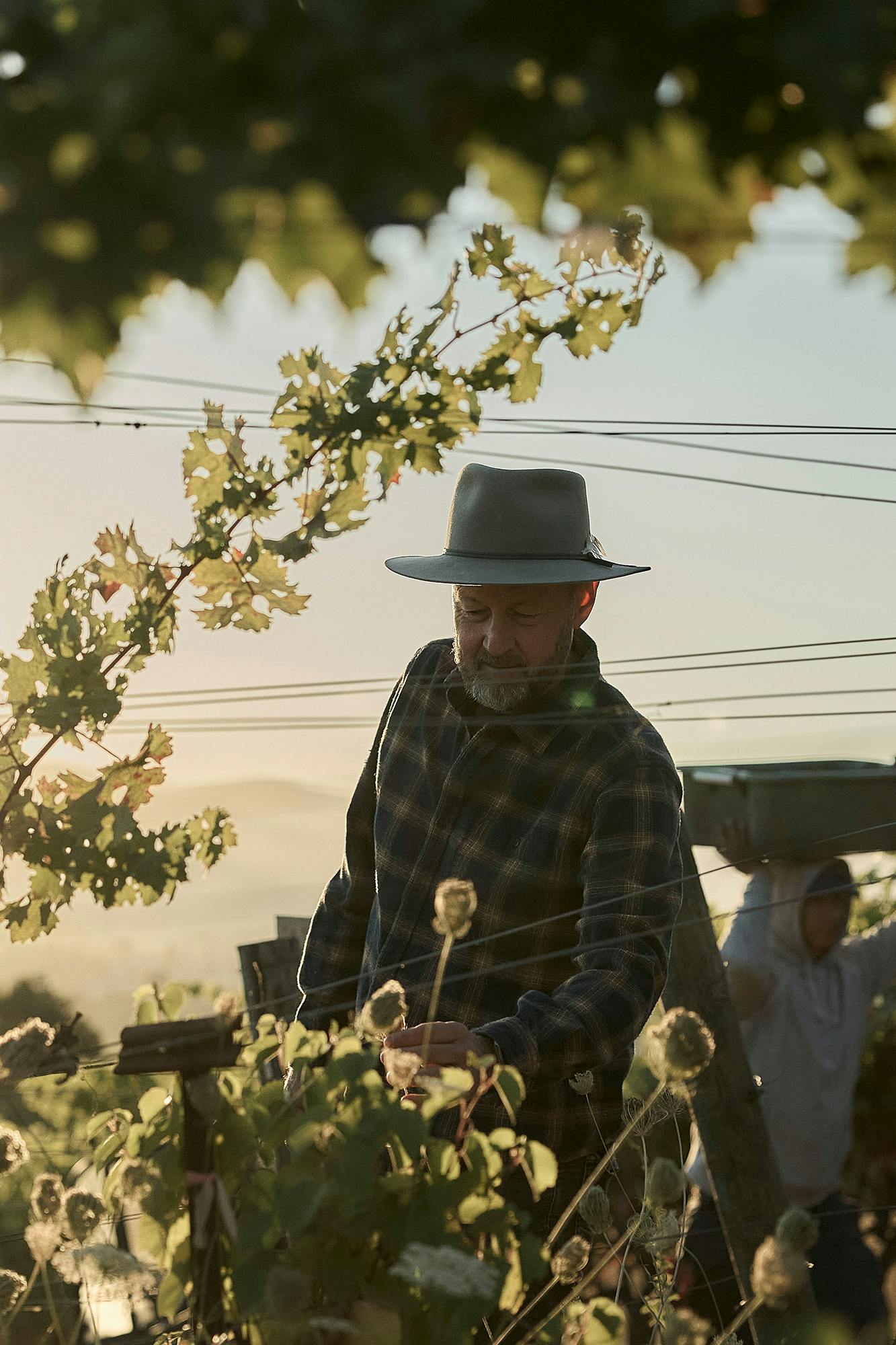 Matthiasson Wines | Our Story